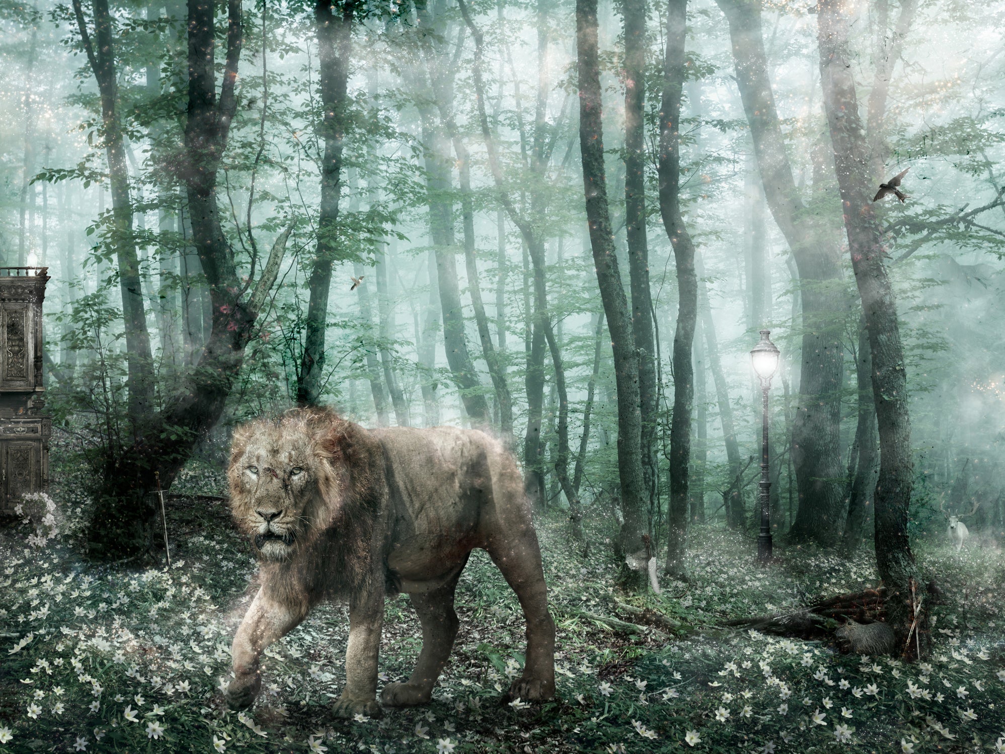 Full Portfolio – Mark Davies British Artist